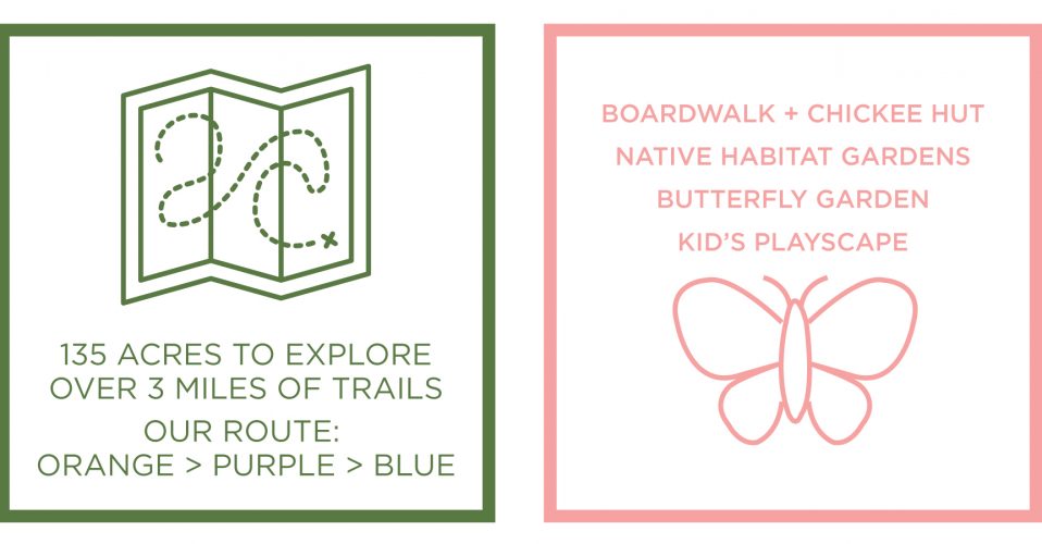 Icon Info Grid_2X9 2-01 - Cadence : Cadence