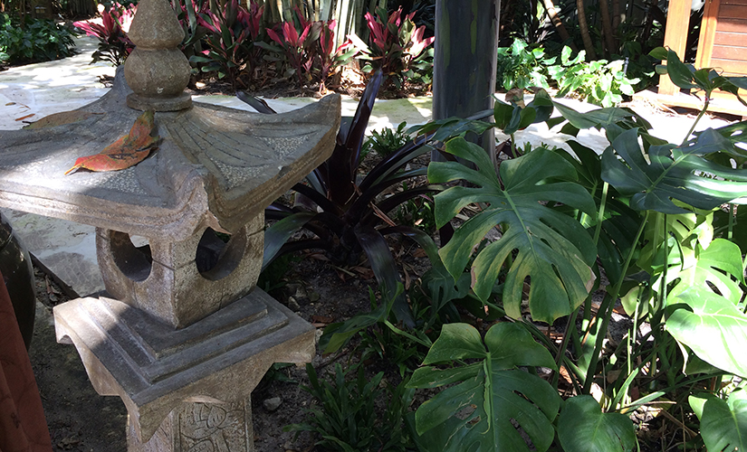 IndoChine Garden Victoria Park Fort Lauderdale Cadence Landscape ...