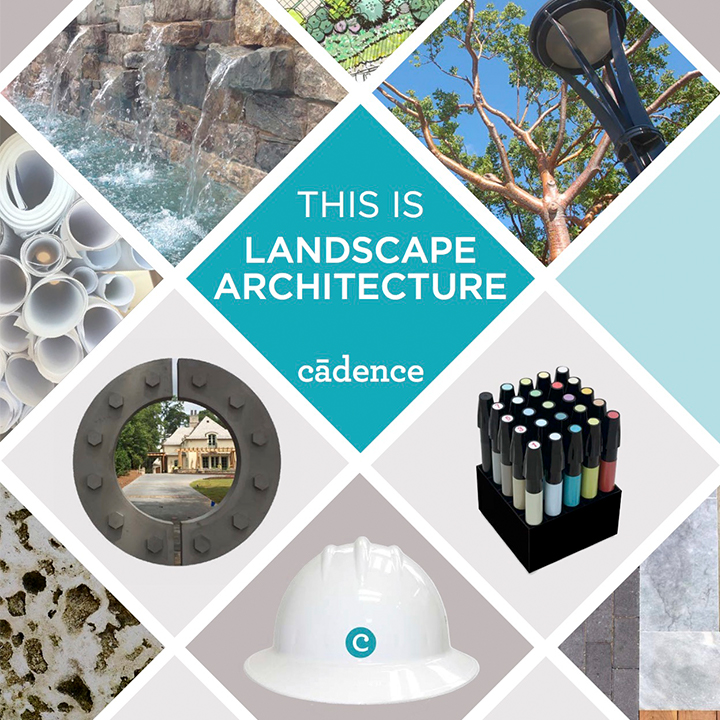 Discover LandArch - Cadence : Cadence