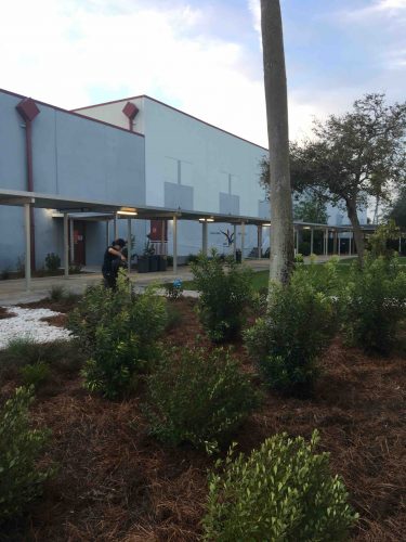 Florida Panthers Foundation - Cadence : Cadence