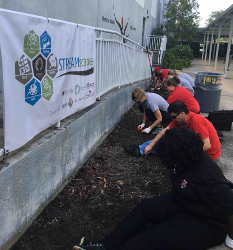 Florida Panthers Foundation - Cadence : Cadence