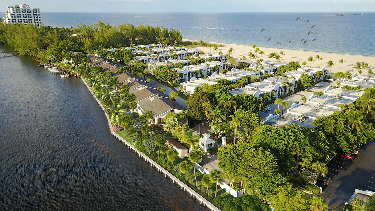 final - Cadence : Cadence