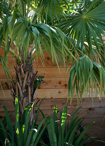 Cadence Fort Lauderdale Landscape Architects South Florida Designers ...