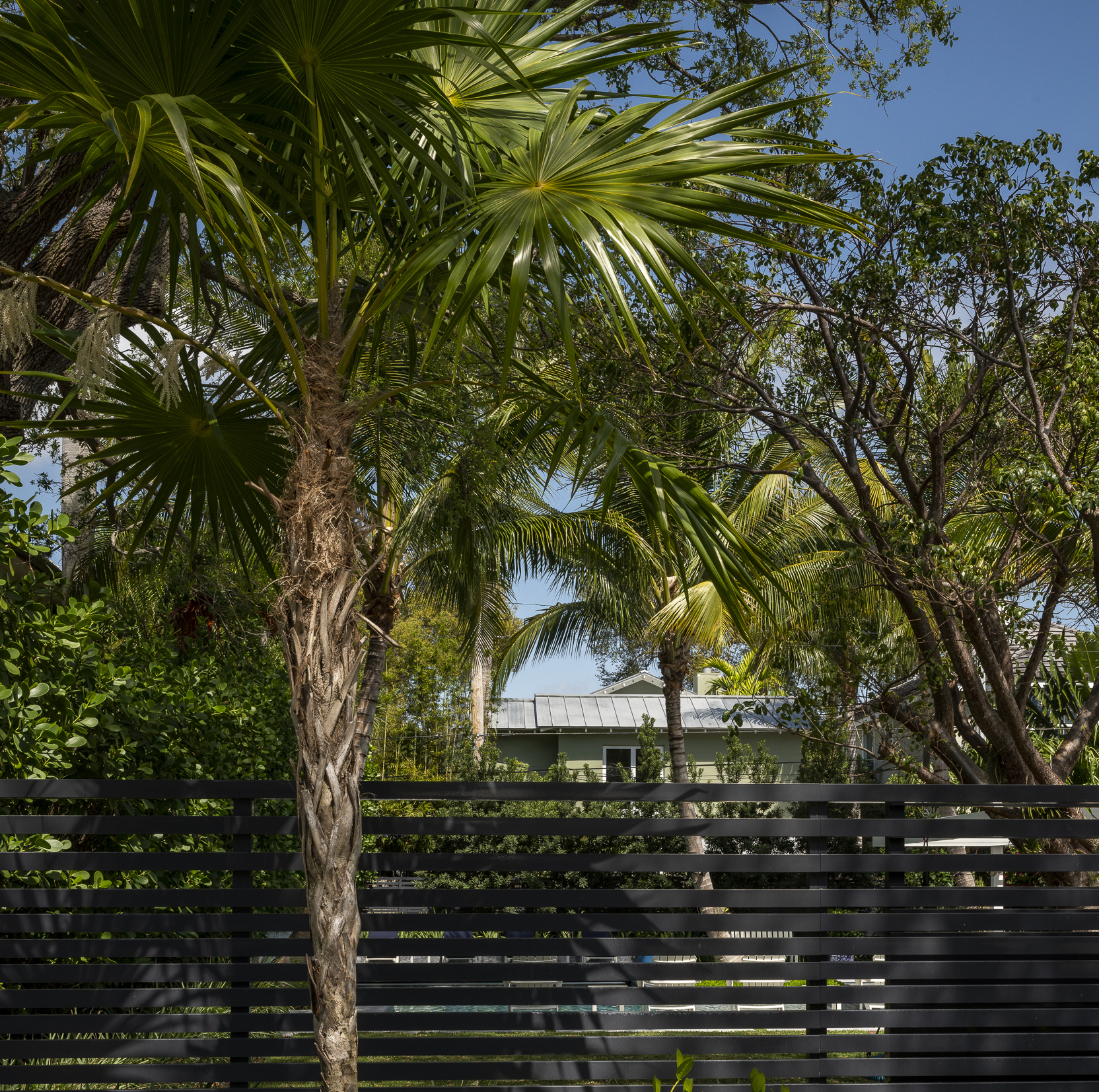 Designing Professional Landscapes with Native Plants - Cadence : Cadence