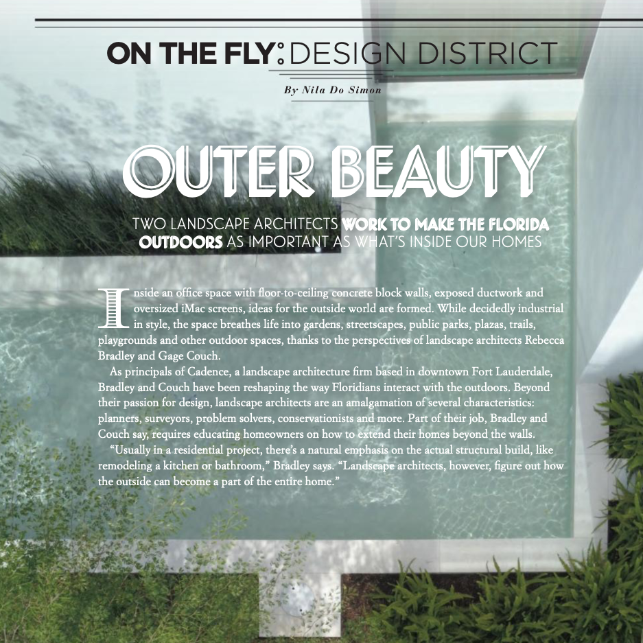 Flamingo Magazine - Cadence : Cadence