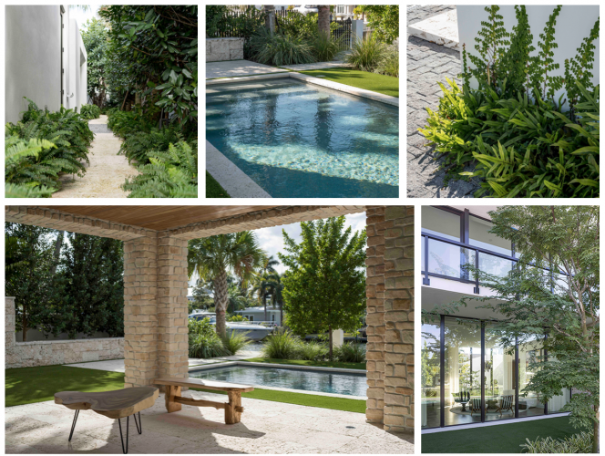 Florida Design Seaglass Awards - Cadence : Cadence